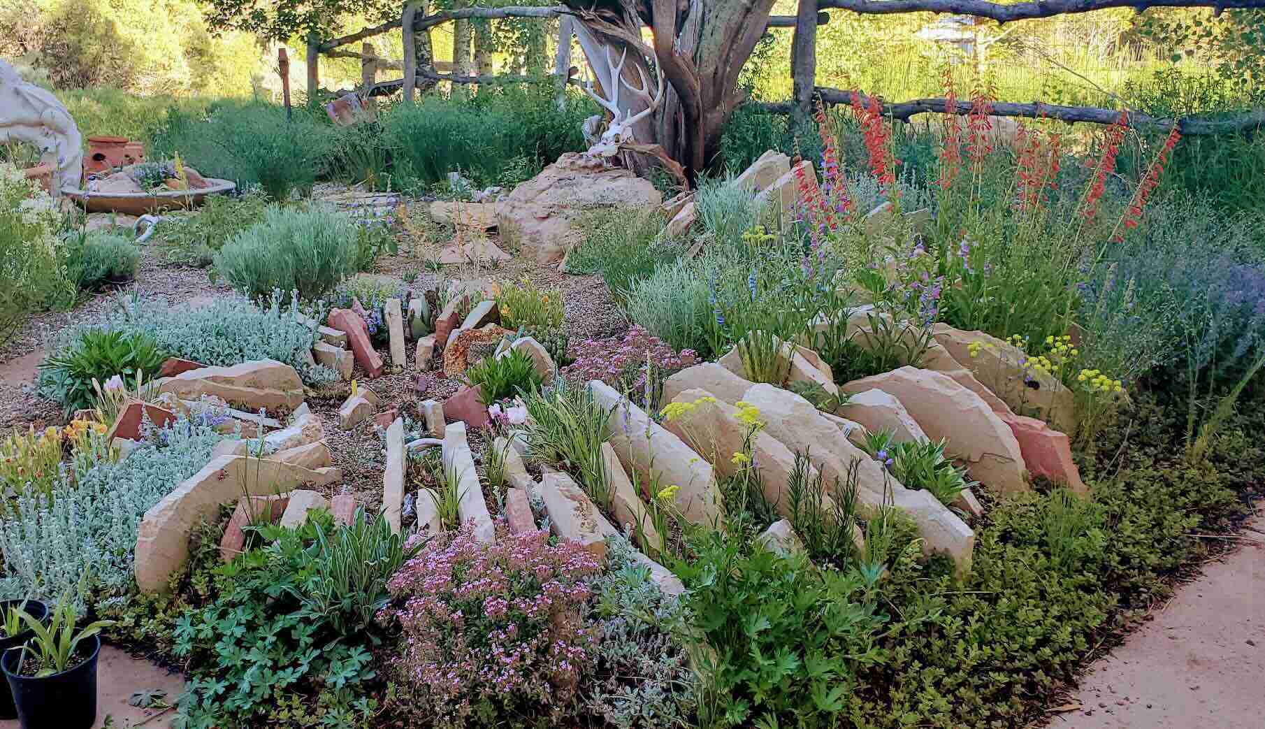 Xeriscape – Gore Range Landscaping